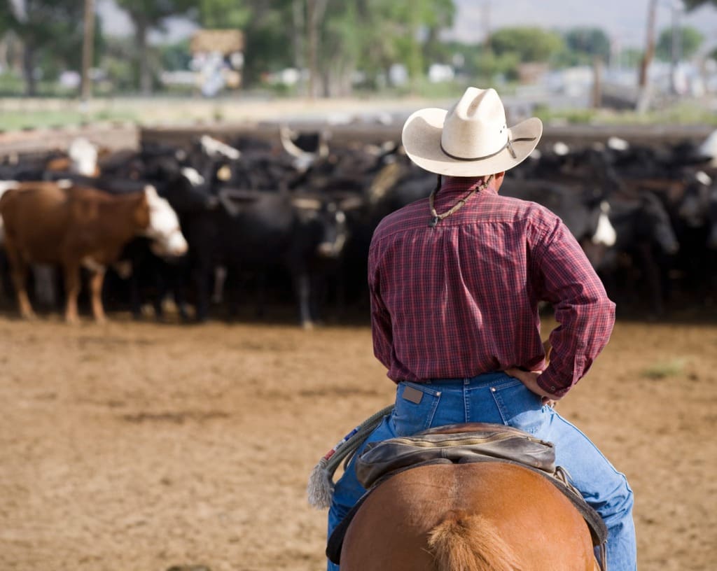 Safety Training - Safety Made Simple